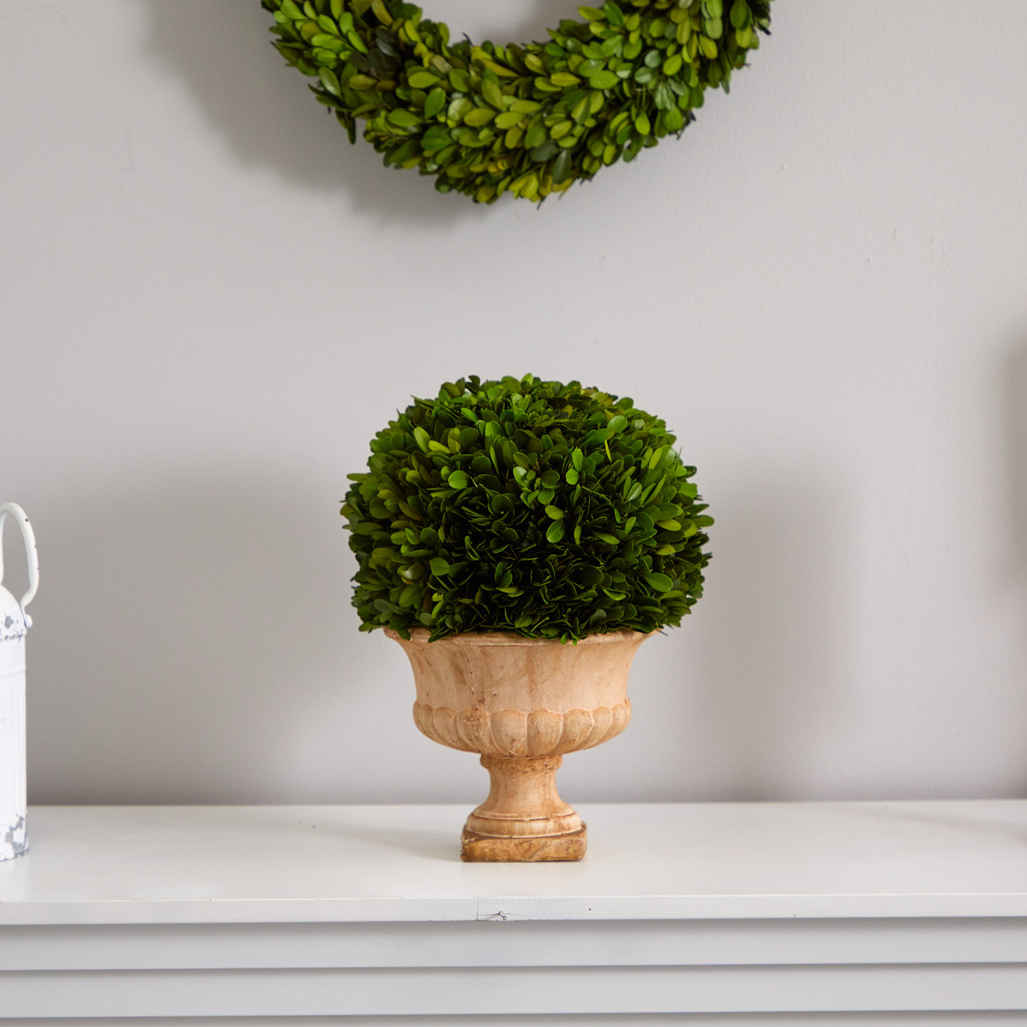 Primrue 12in. Boxwood Topiary Ball Preserved Plant in Decorative Urn ...