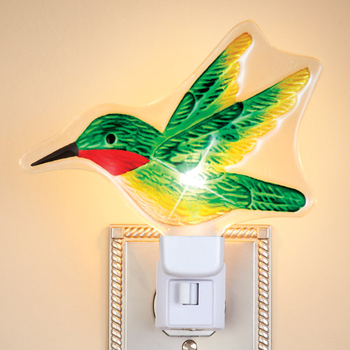 Night Lights You'll Love | Wayfair