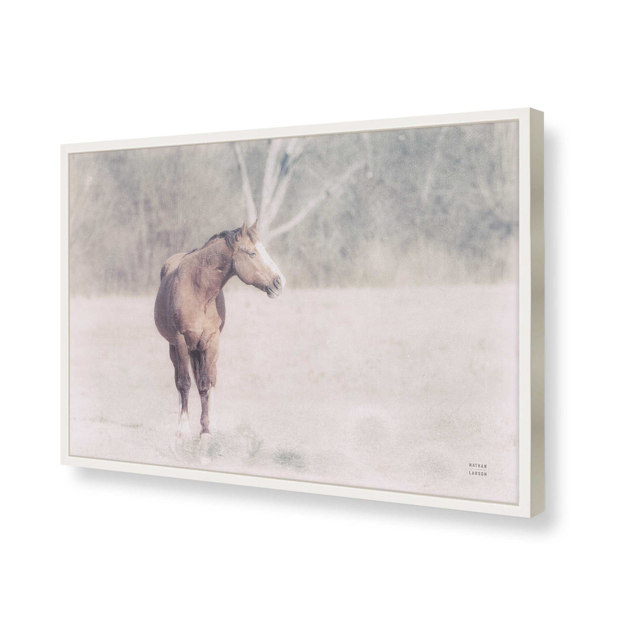 WayArt Sunny Field I by Nathan Larson Art Print | Wayfair