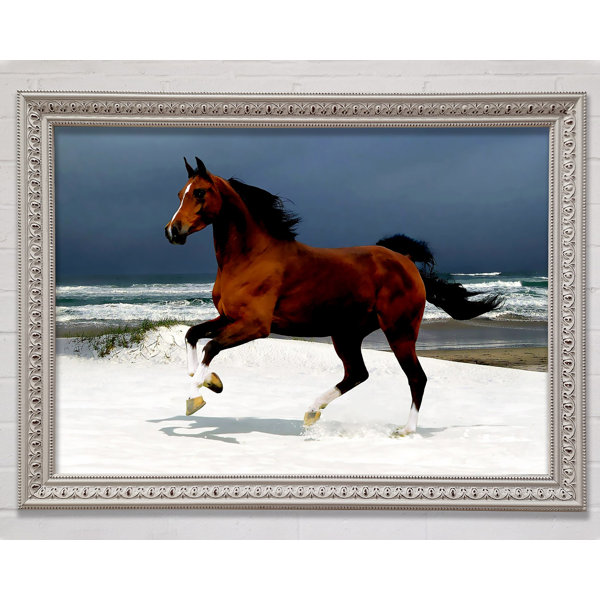Bright Star Galloping Horse - Single Picture Frame Art Prints | Wayfair ...