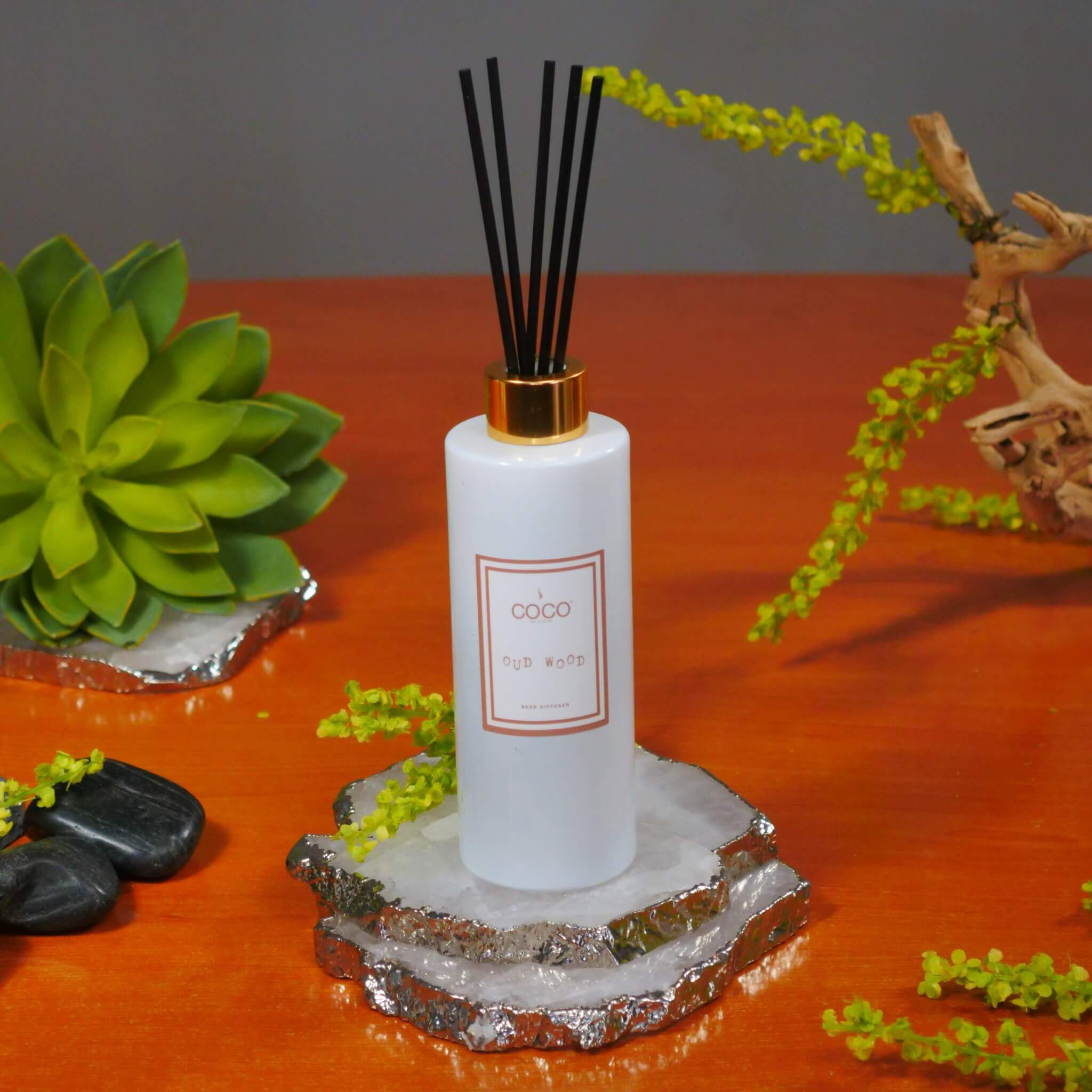 COCO by Stone 5Oz Reed Diffuser | Wayfair