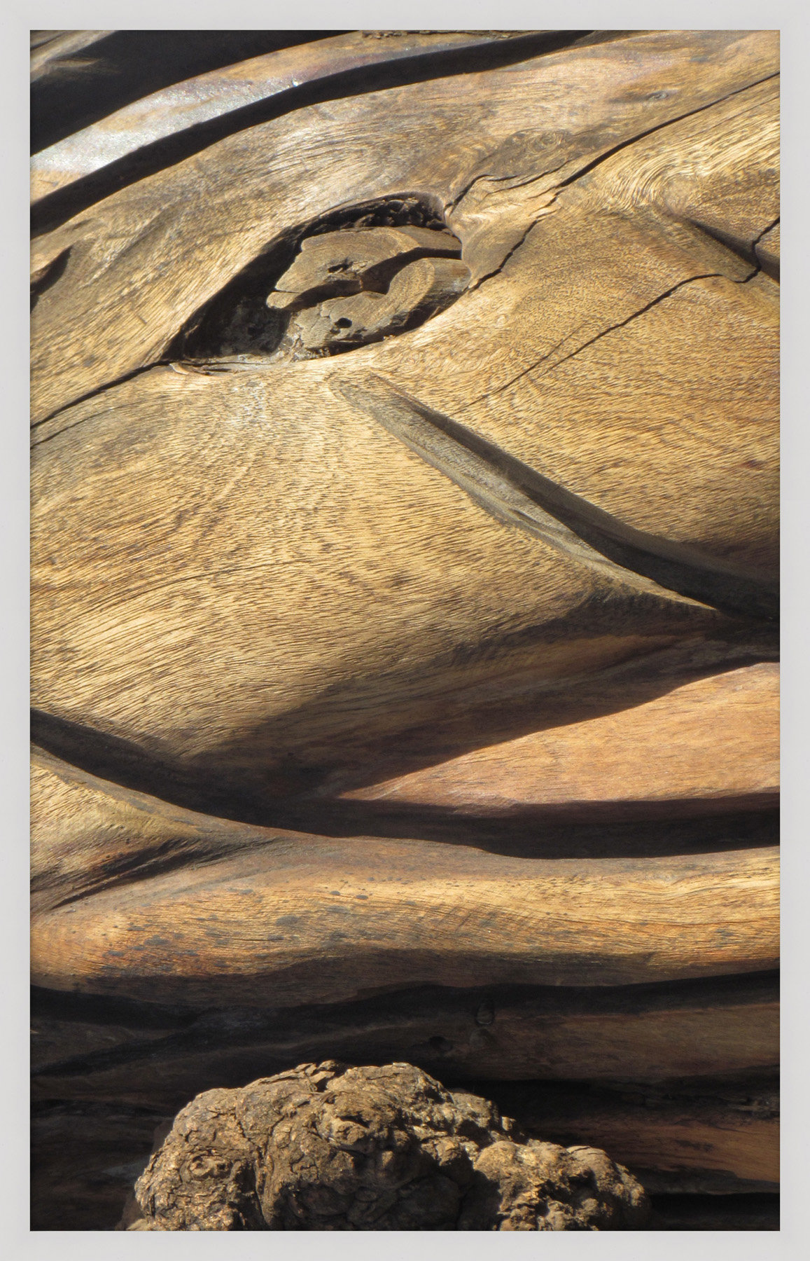 Lillian August Natural Texture Series 1' Framed Photographic Print on ...