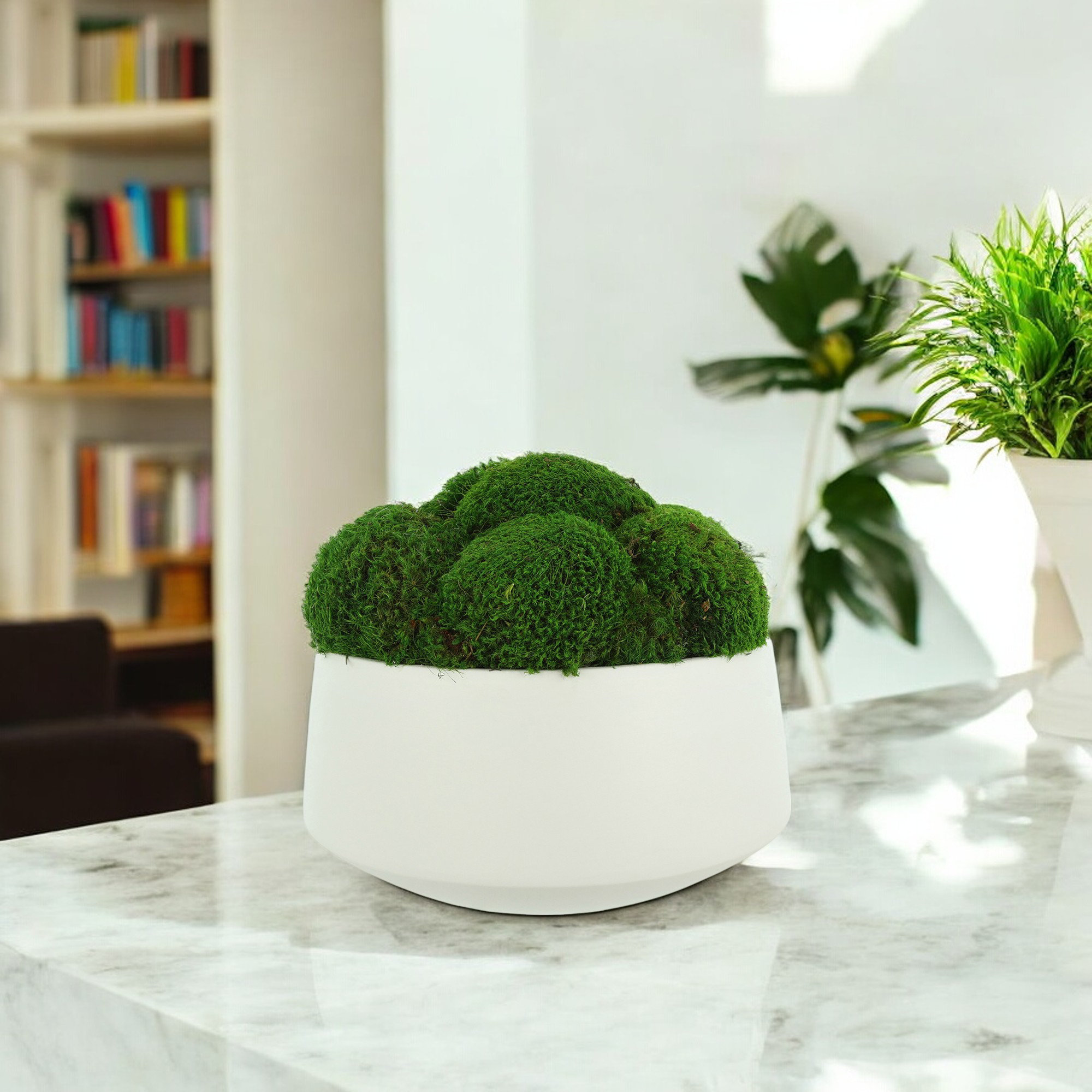 Primrue Mood Moss Arranged in Ceramic Pot - Wayfair Canada