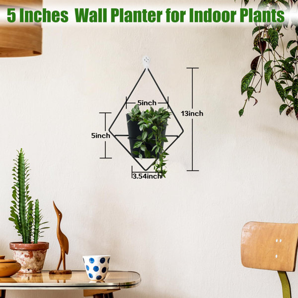 Latitude Run® 3 Sets Of Wall Planters, Hanging Wall Planter With Black ...