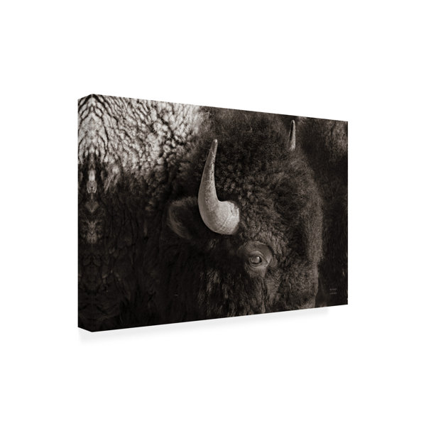 Union Rustic Bison BW On Canvas Print | Wayfair