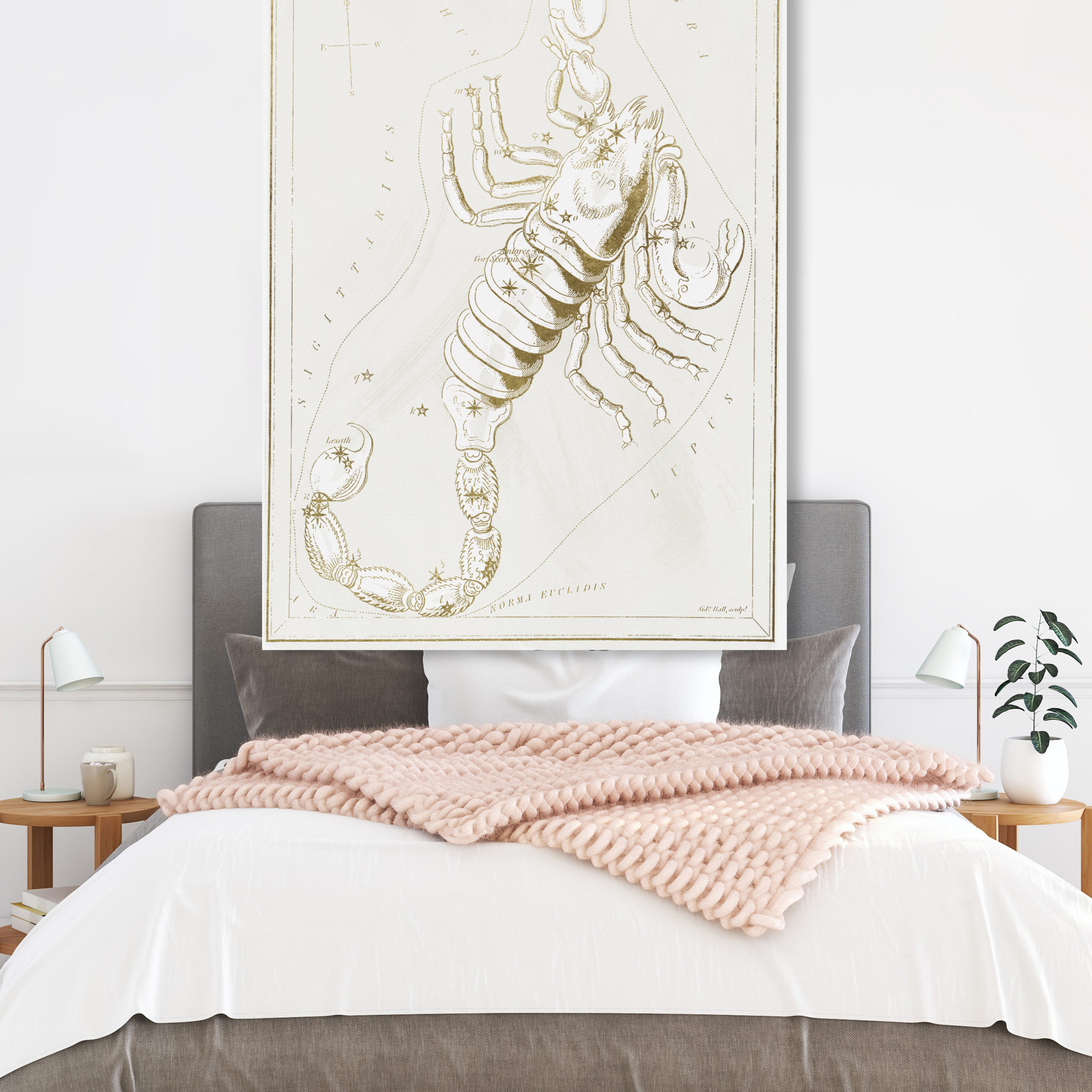 Oliver Gal Prints Spiritual and Religious Scorpio Major and Minor ...