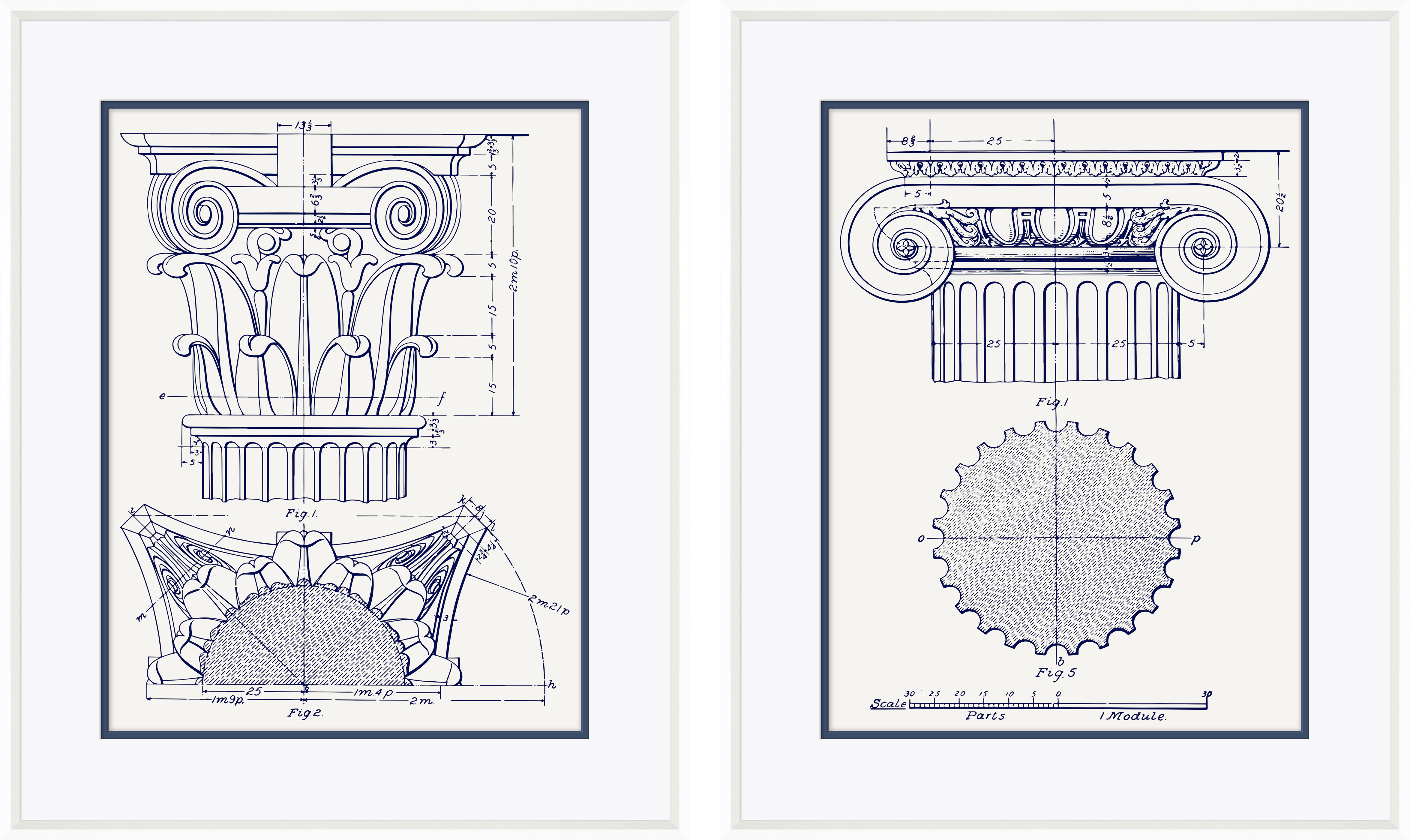 Soicher Marin White Column 2 & Blue Ionic 5 - Picture Frame Drawing ...
