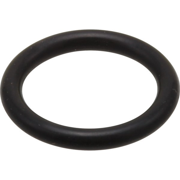 Delta O-Ring for Shower Arm - Wayfair Canada