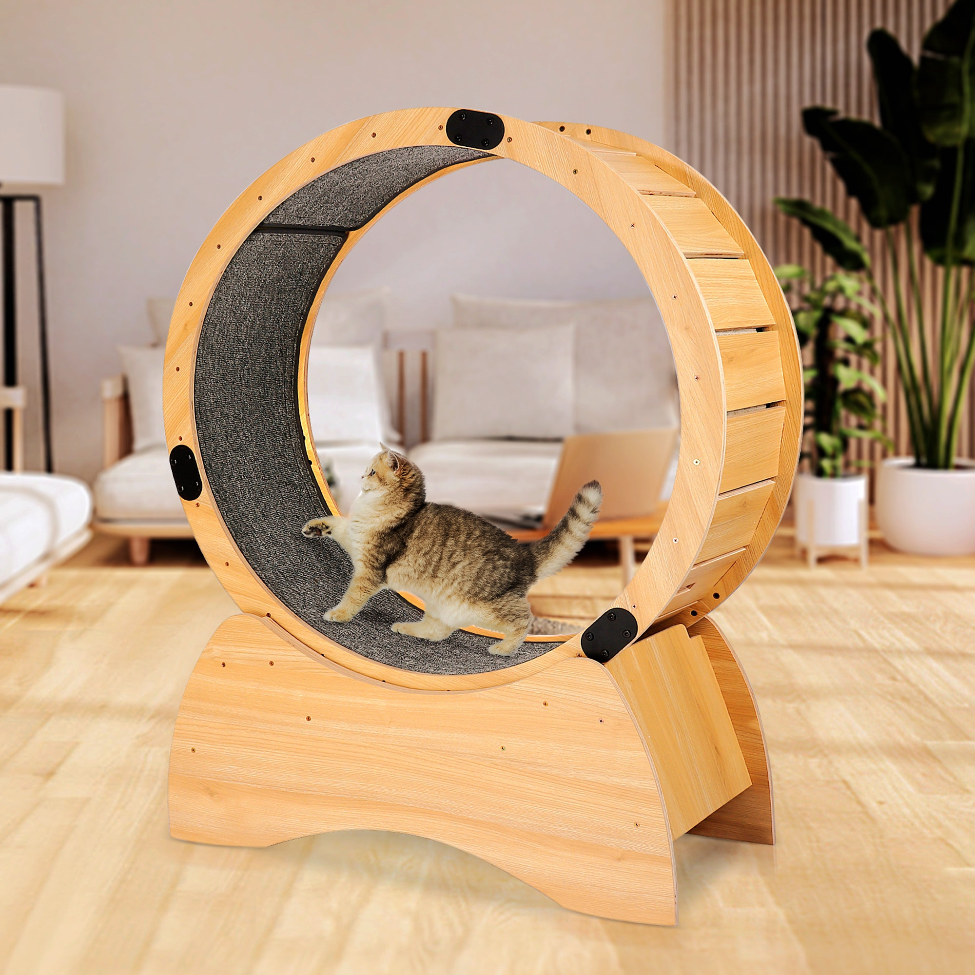 MaMa Solid Wood Pet Bed | Wayfair MaMa Solid Wood Pet Bed | Wayfair