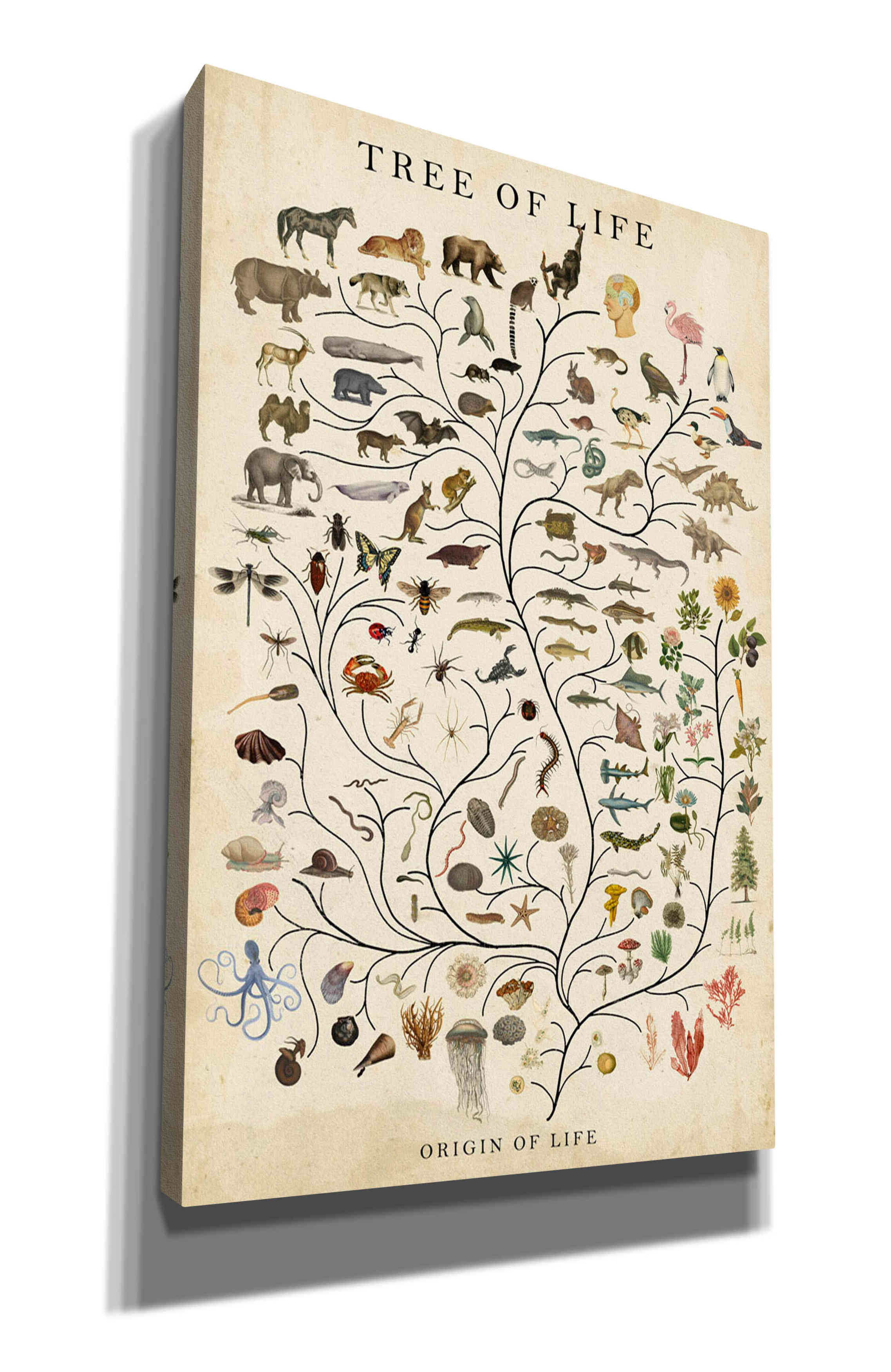Epic Graffiti Tree Of Life by - Wrapped Canvas Graphic Art - Wayfair Canada