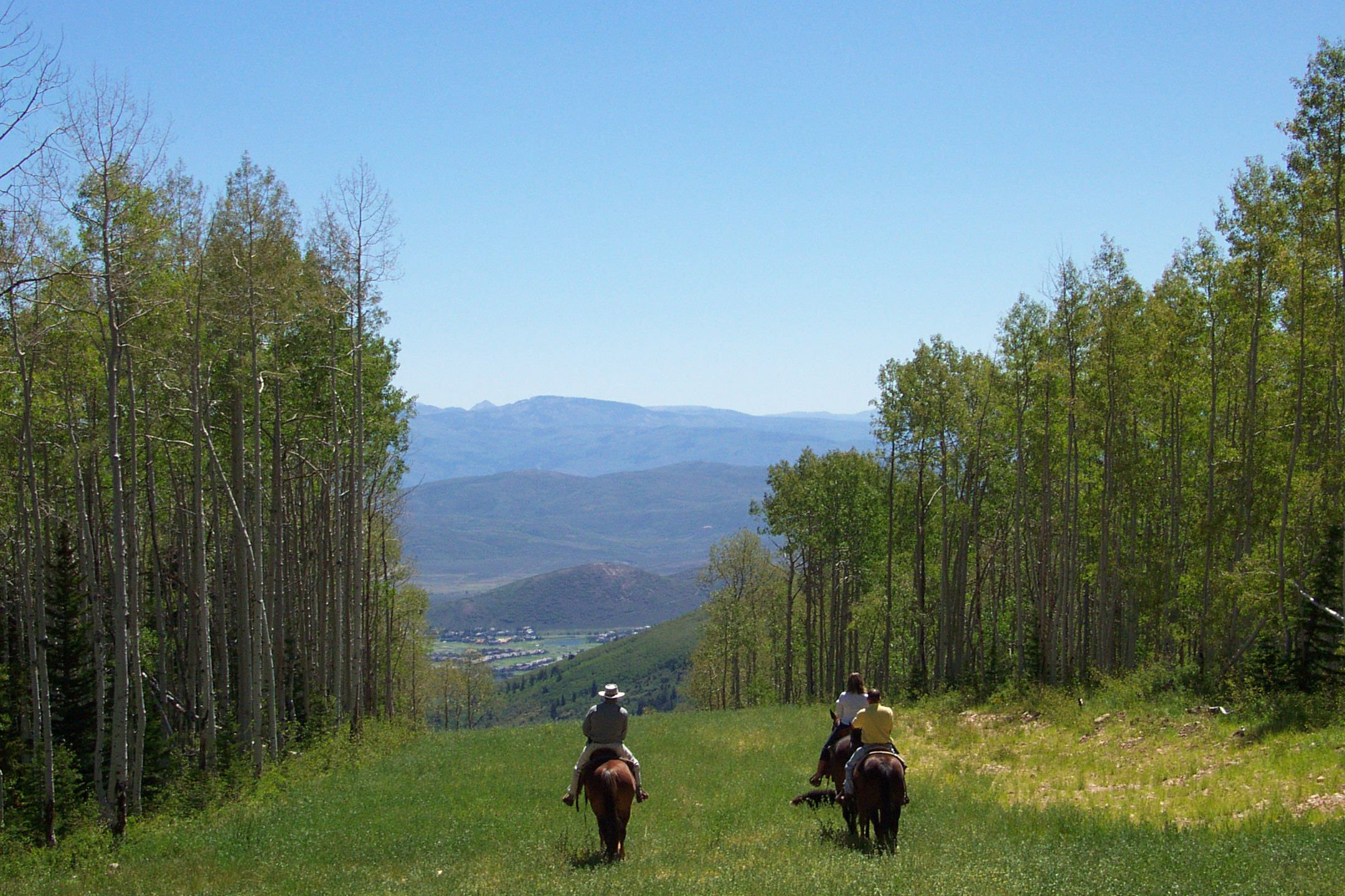 Millwood Pines People Riding on Horseback - Wrapped Canvas Photograph ...