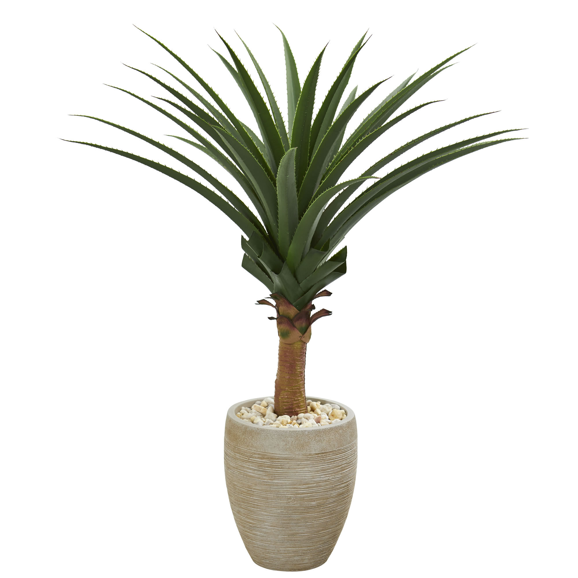 Primrue Agave Floor Foliage Plant in Planter | Wayfair