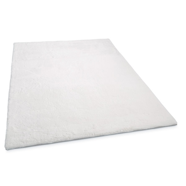 Gino Falcone Uniform Color Machine Woven Area Rug | Wayfair.co.uk