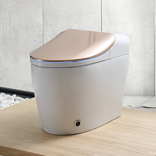 WFSHOP Toilette moderne intelligente avec bidet intégré, toilette ...