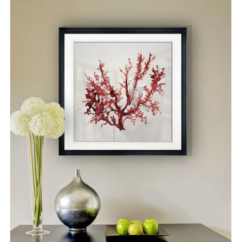 Breakwater Bay " Sea Coral III " on & Reviews | Wayfair