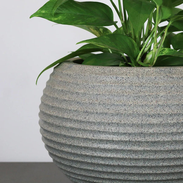 Winston Porter Josellyn ECOBO EcoFriendly Round Pot Planter, Heliconia ...