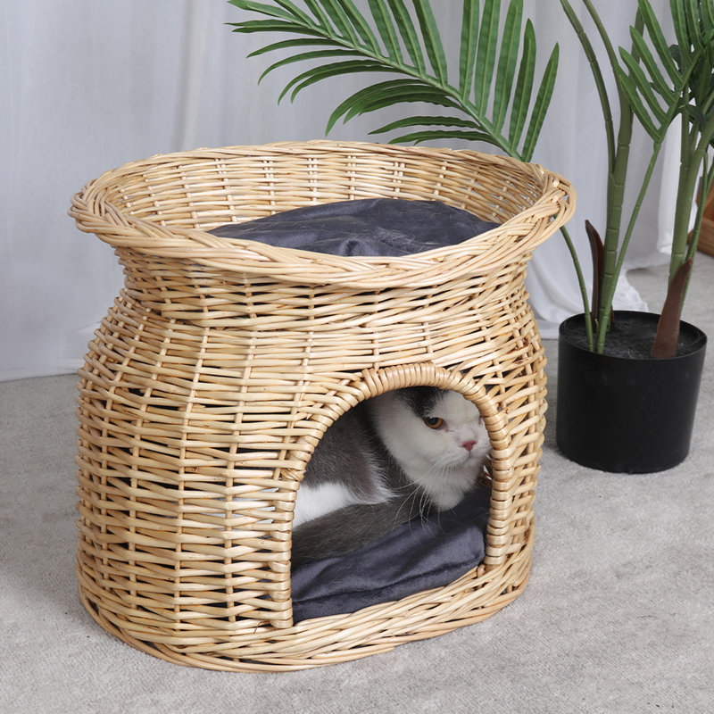 Tucker Murphy Pet™ Dayanaira Designer Specialty Cat Bed & Reviews | Wayfair