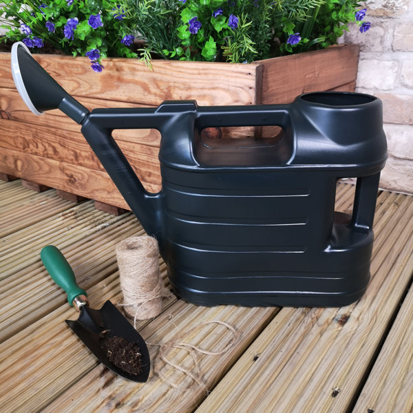 Dakota Fields Caziyah Watering Can | Wayfair.co.uk