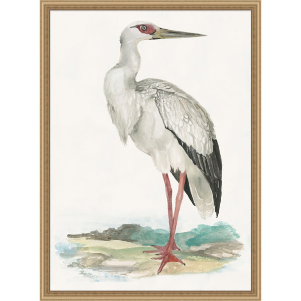 Wendover Art Group Waterbird 1 - Picture Frame Painting on Paper | Wayfair