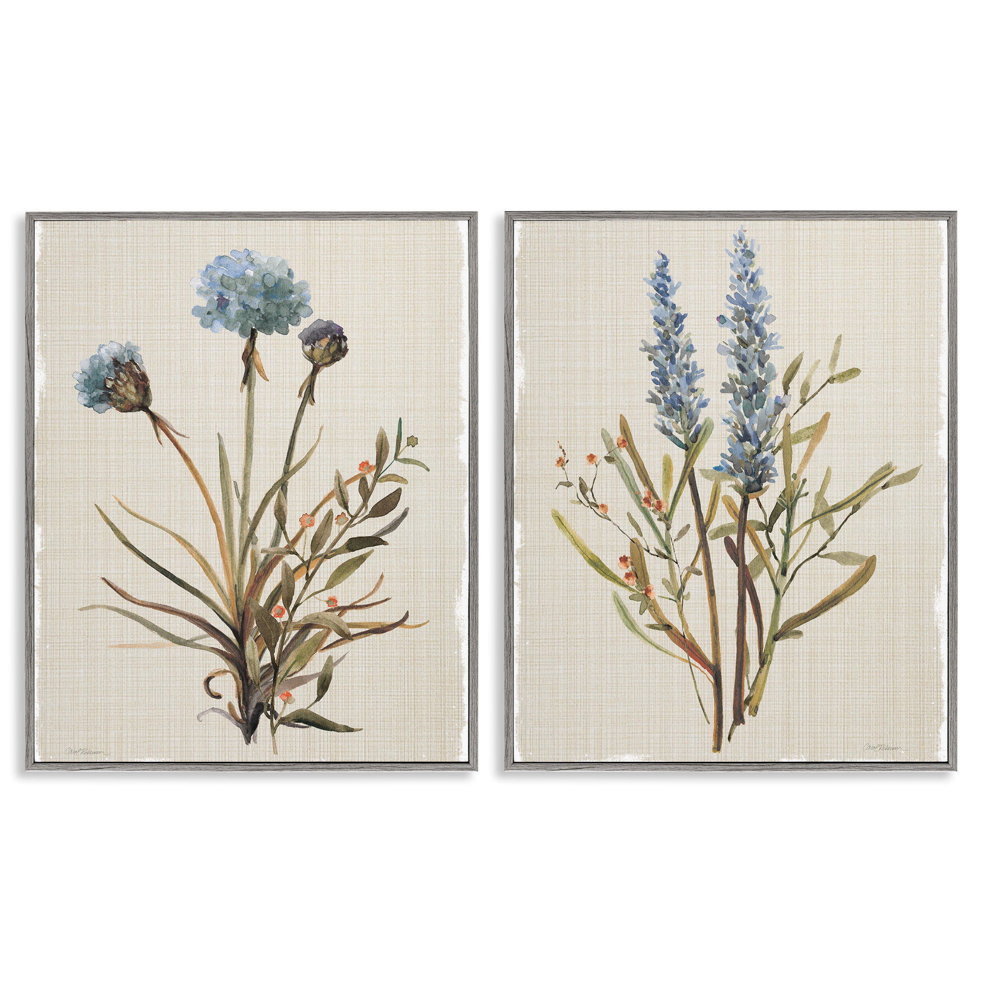 Ophelia & Co. Natural Budding Blooms 2pc Framed Giclee Set, design by Carol Robinson | Wayfair