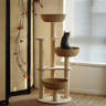 Tucker Murphy Pet™ 19.69"Solid wood log color cat climbing frame and ...