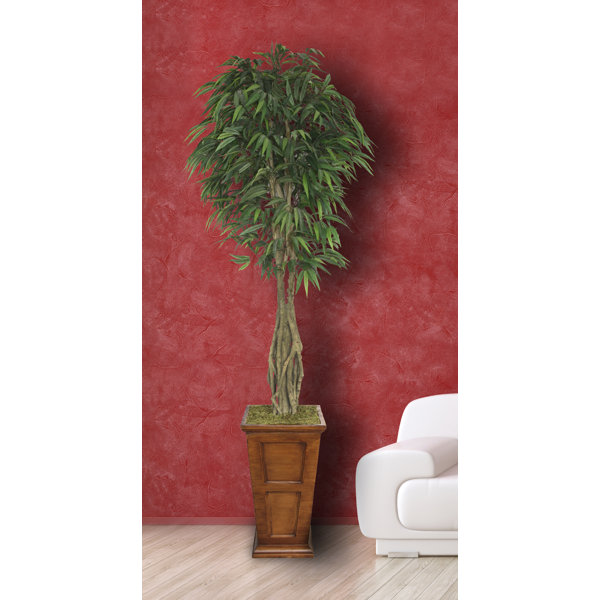 Laura Ashley Panama Tall Willow Ficus Trunks Tree in Planter & Reviews ...