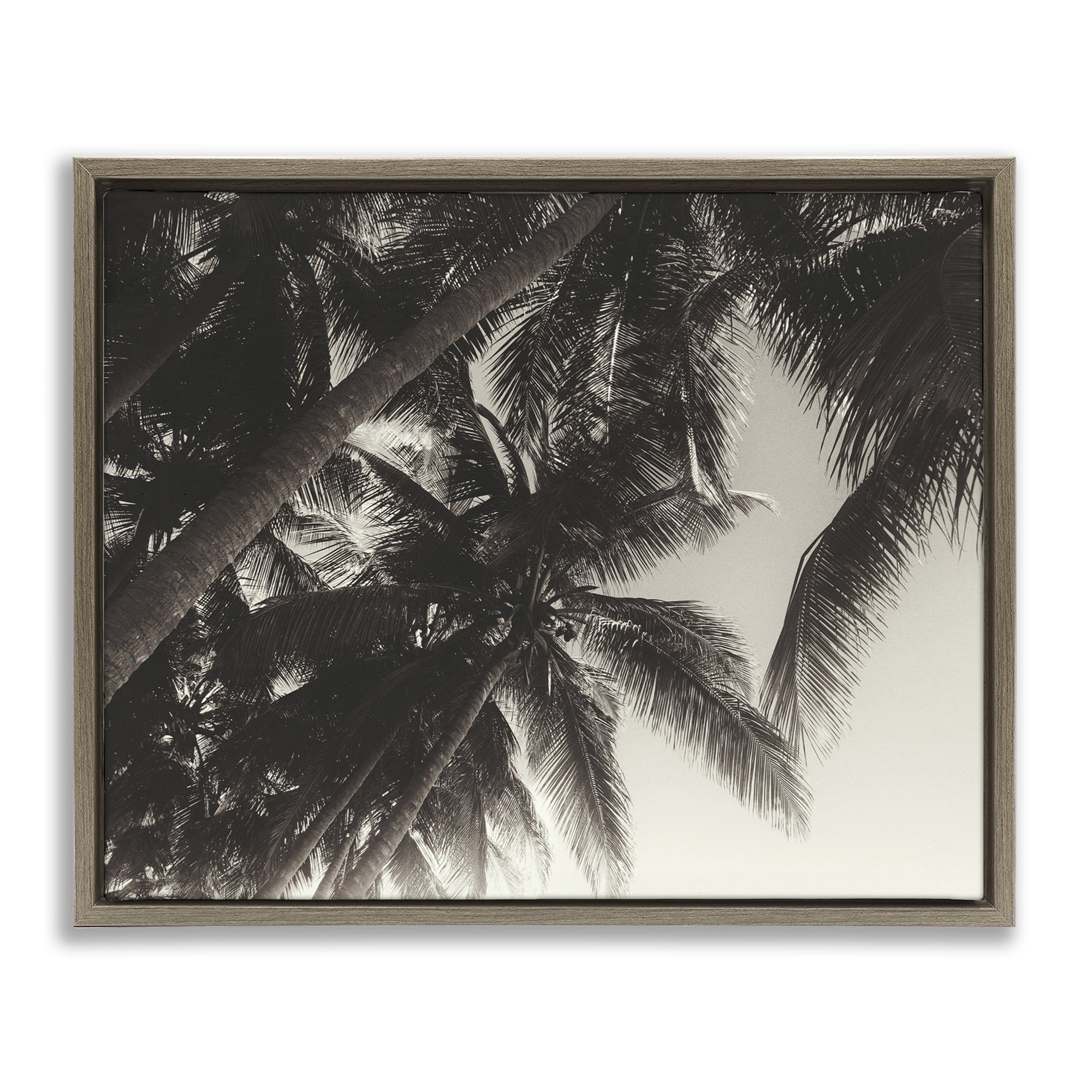 Bay Isle Home™ Dark Palm Leaves Framed Floater Canvas Wall Art by ...