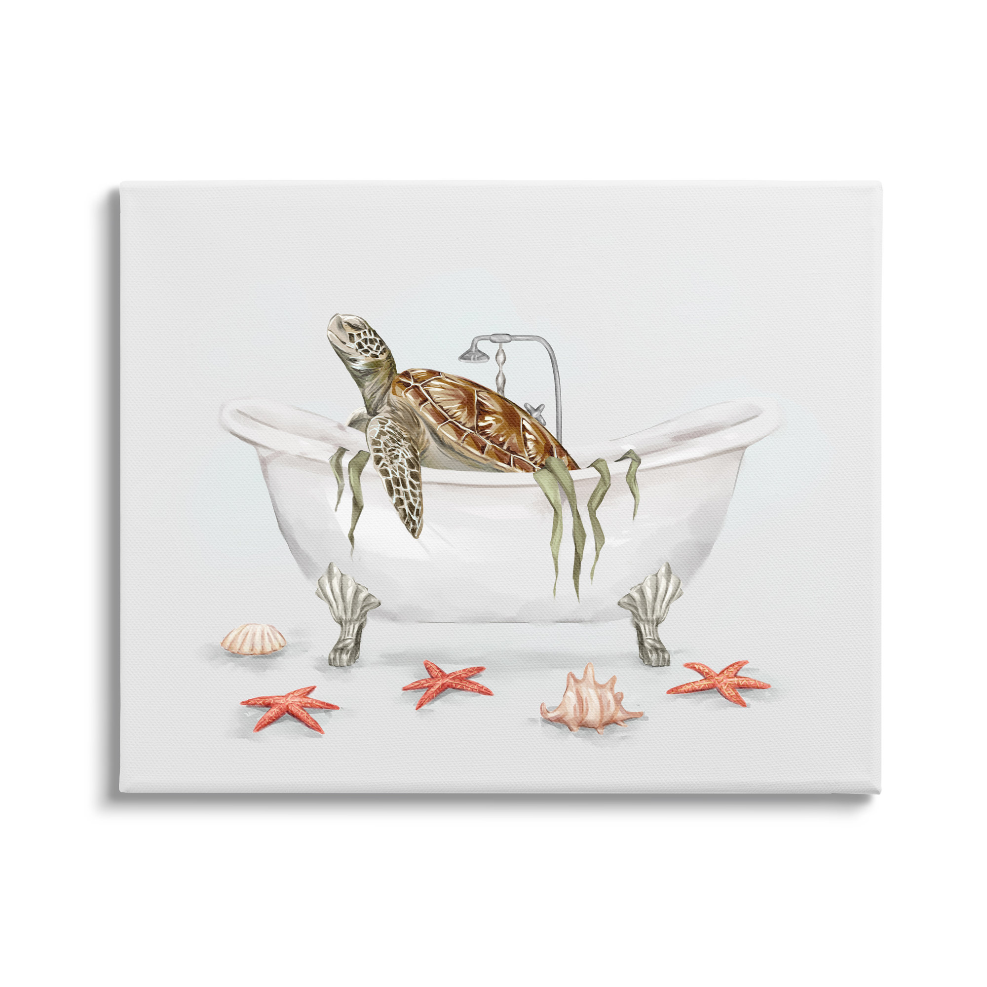 Stupell Industries " Turtle Bathtub Sea Life Seaweed " | Wayfair