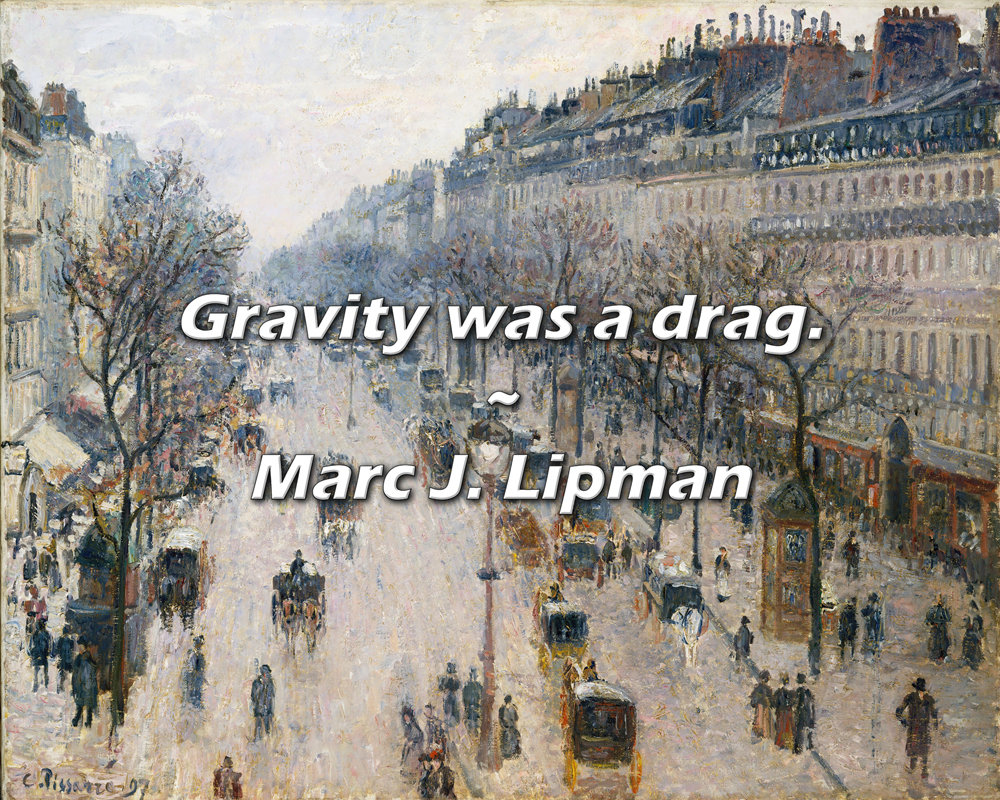 Trinx Marc J. Lipman Quote: Gravity was a drag. | Wayfair