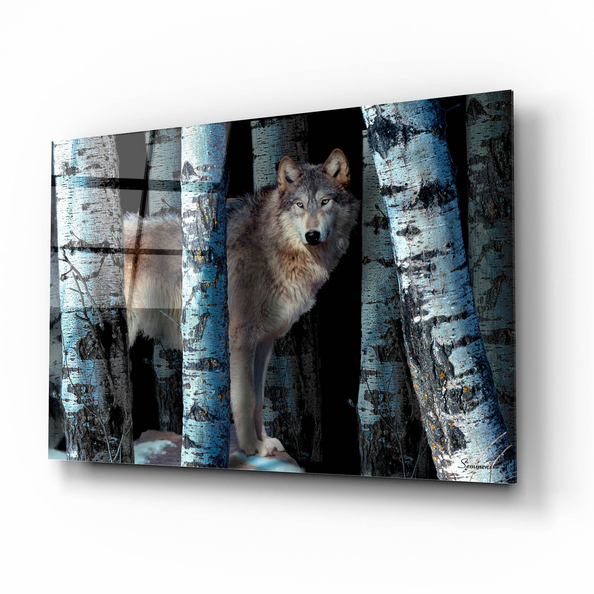 Loon Peak® Moon Shadows On Plastic/Acrylic by Gordon Semmens Print ...