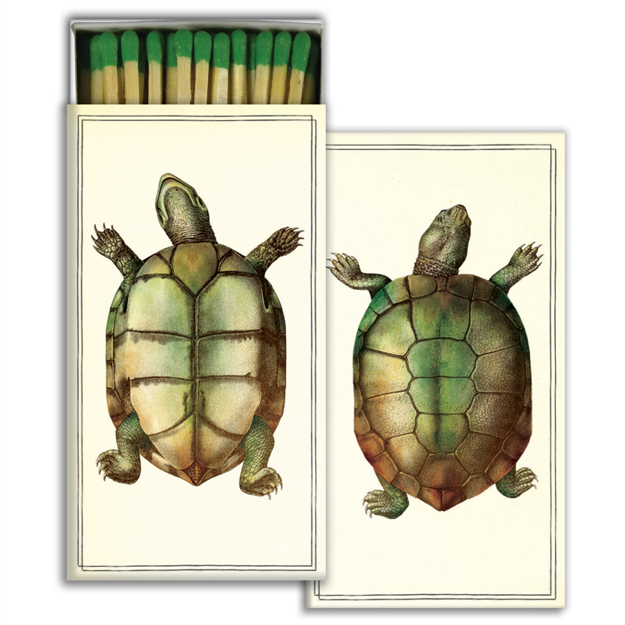 HomArt Matches - Turtles | Wayfair