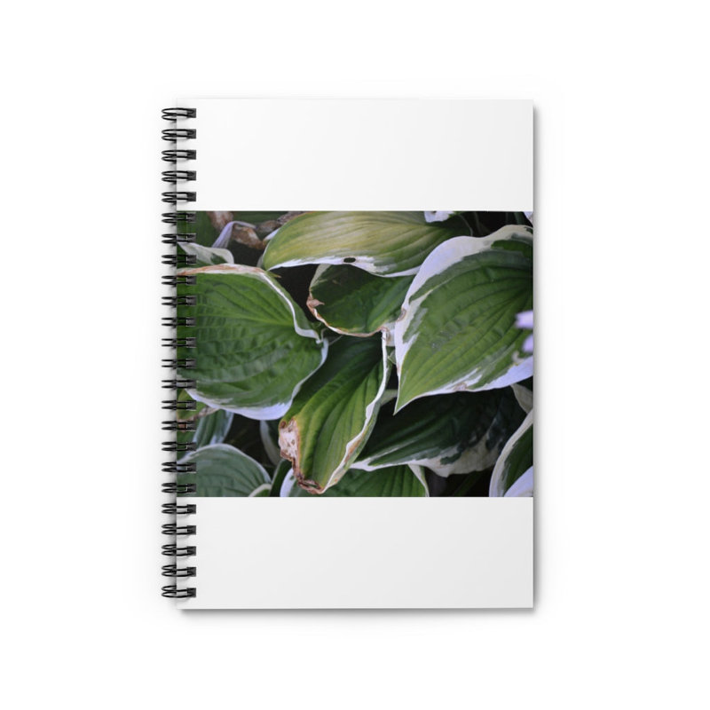 Marick Booster Green Leaves Notebook | Wayfair