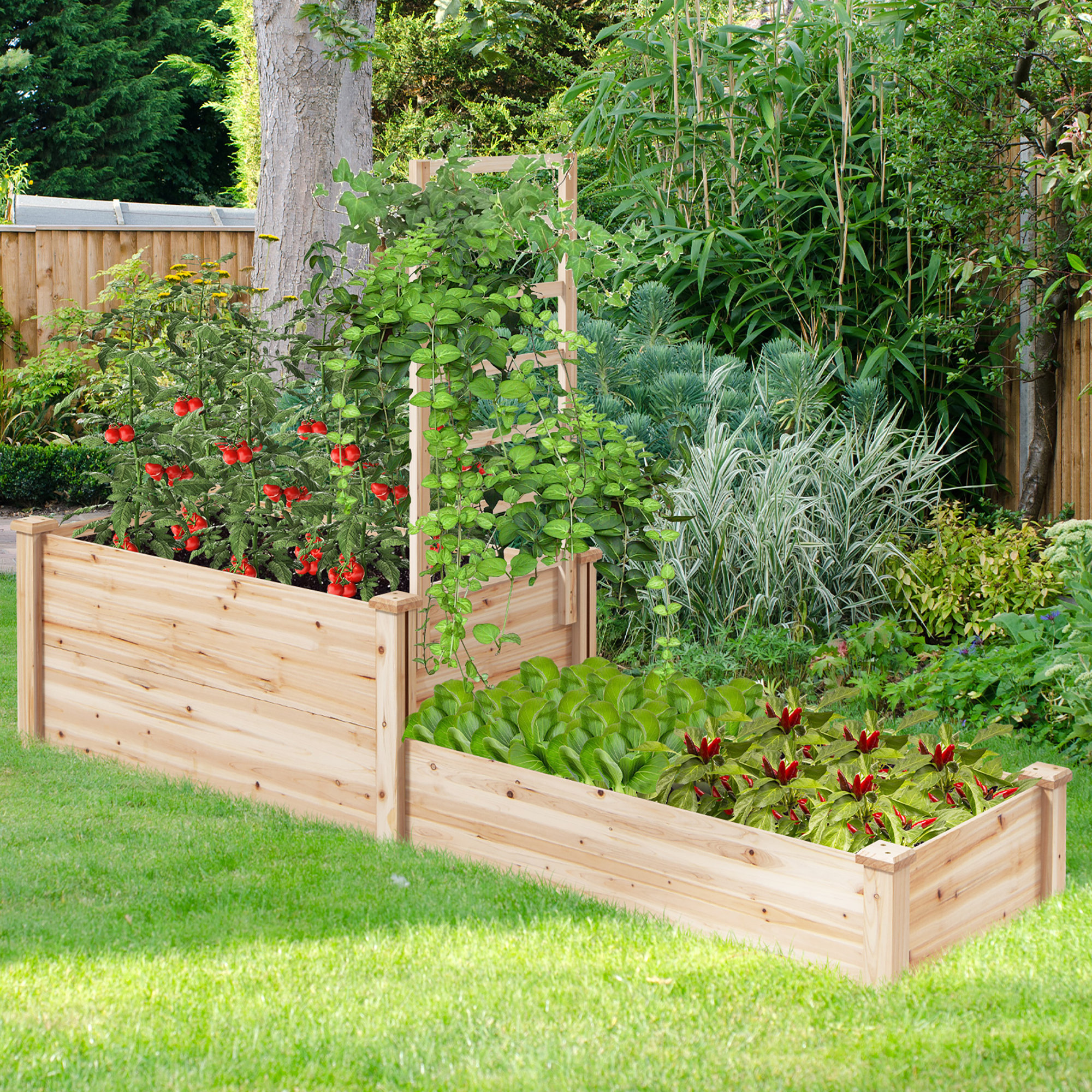 Arlmont & Co. Raised Garden Bed W/ 2 Planter Boxes & Trellis Outdoor ...