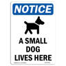 SignMission A Small Dog Lives Here Sign with Symbol | Wayfair