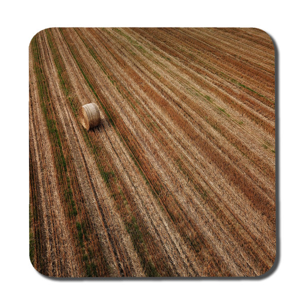 Bless international Polyester Square 6 Piece Coaster Set - Wayfair Canada