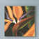 Bay Isle Home " Bird Of Paradise Tile IV " by Jason Higby | Wayfair
