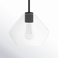Black Single Pendant Lighting You'll Love | Wayfair