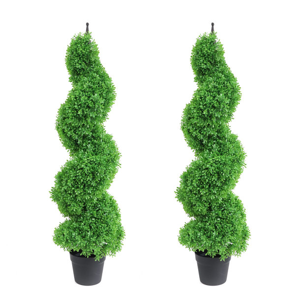 Primrue 2 Piece Artificial Boxwood Tree in Pot Set & Reviews | Wayfair