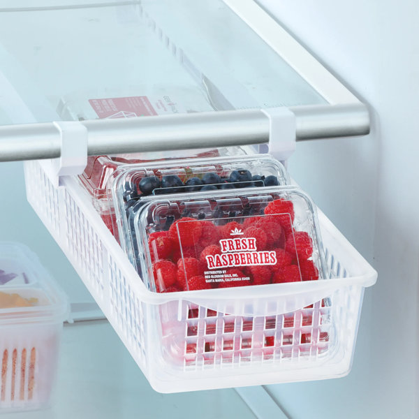Rebrilliant Instant Adjustable Refrigerator Storage Drawer | Wayfair