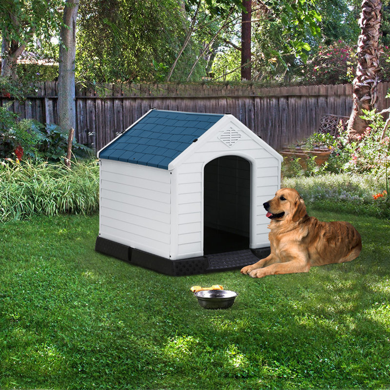 Archie & Oscar™ Lapp Blue Plastic Dog House & Reviews | Wayfair