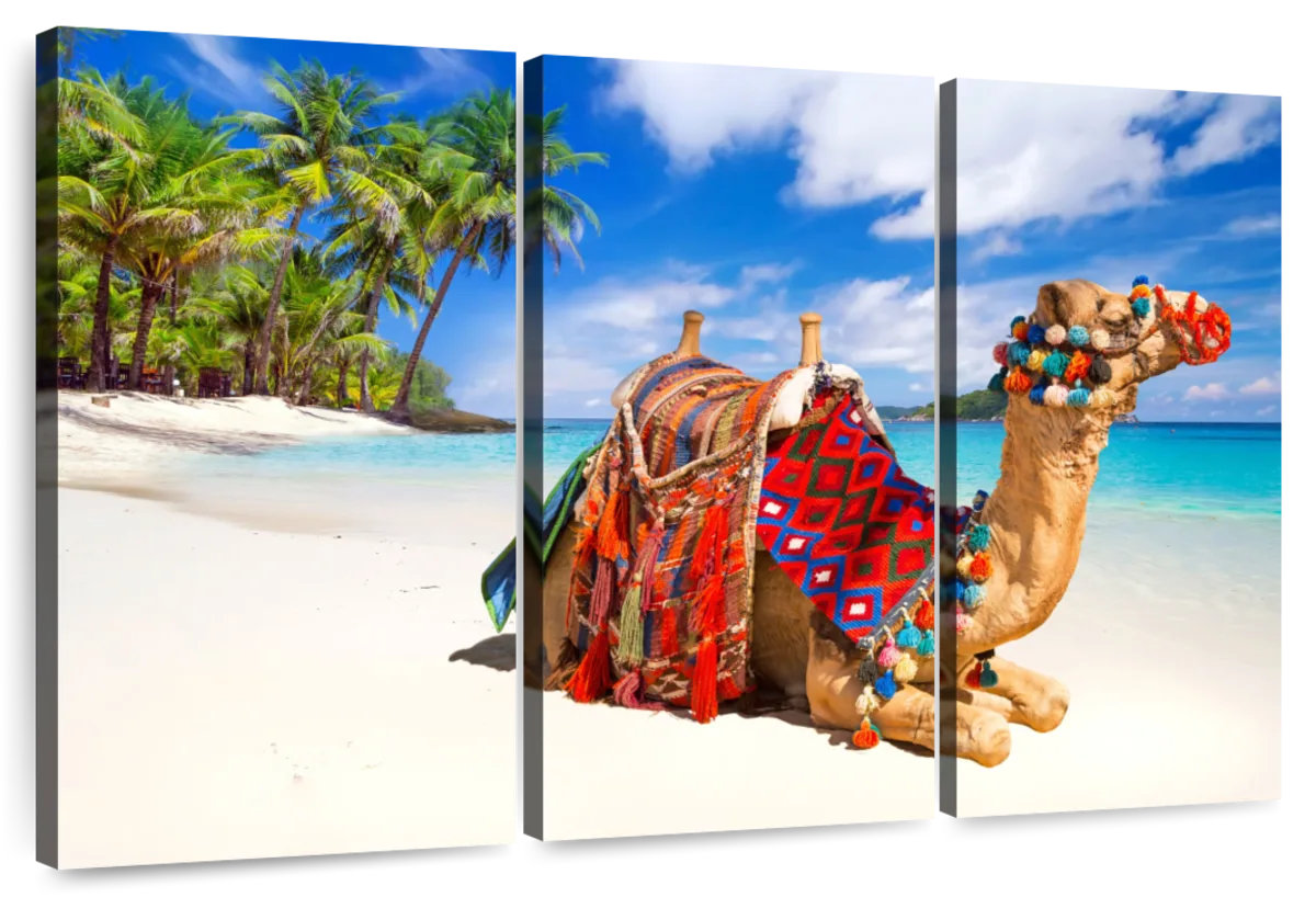 Ebern Designs Brampt Beach Camel | Wayfair