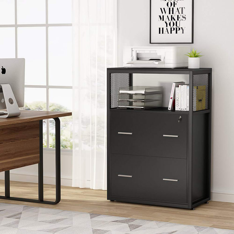 Inbox Zero 23.6'' Wide 2 -Drawer File Cabinet & Reviews | Wayfair
