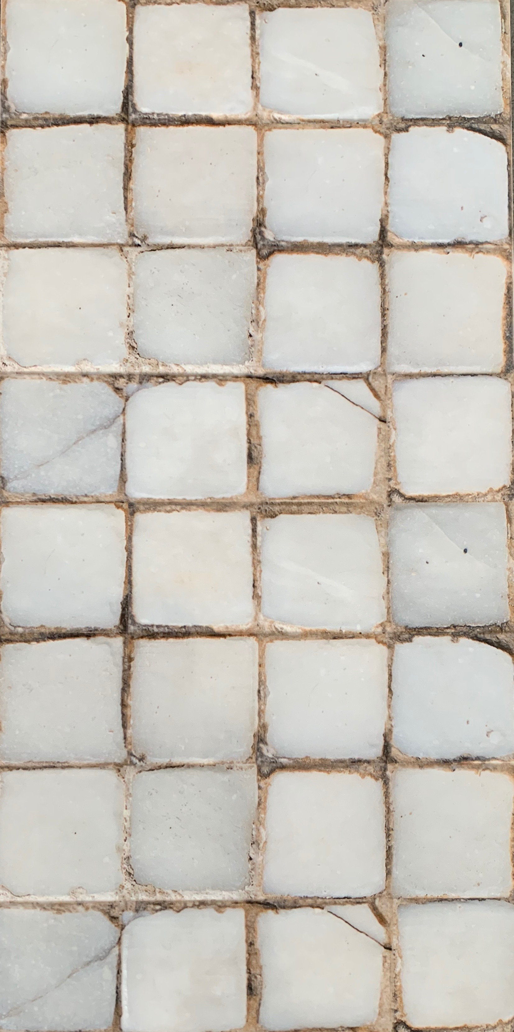 Moroccan Mosaic Raja 12" x 24" Ceramic Floor & Wall Tile - Wayfair Canada