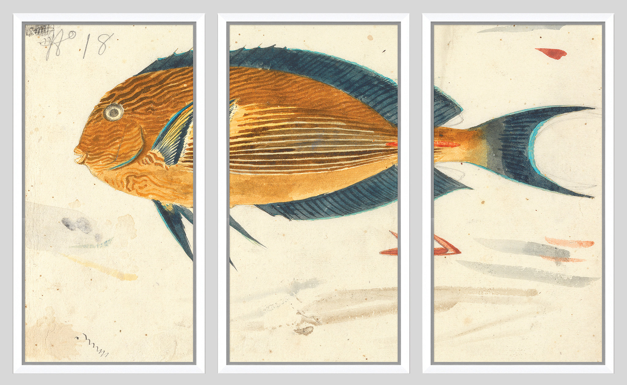 Soicher Marin Triptych Fish - 3 Piece Single Picture Frame Painting Set ...