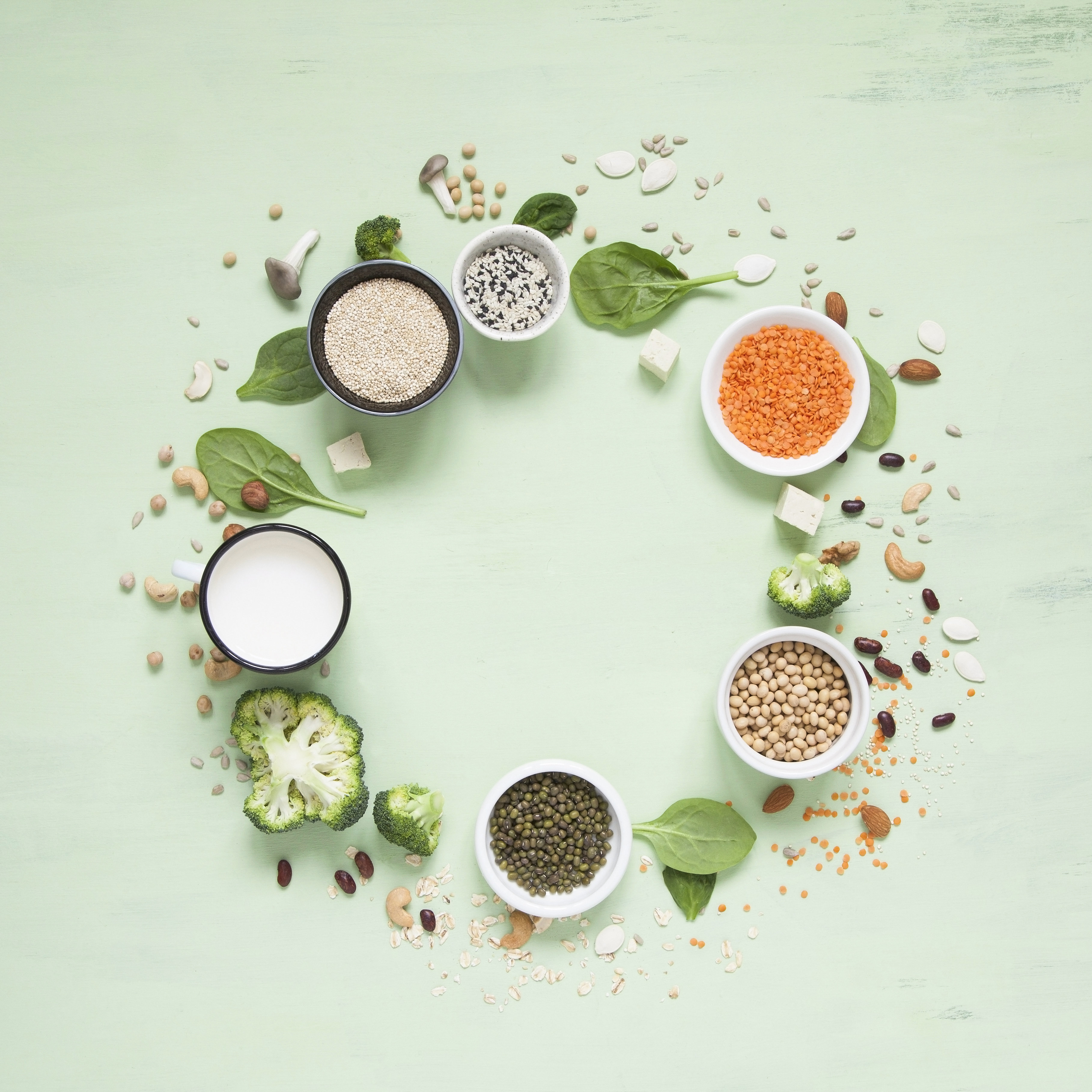 Ebern Designs Plant Protein Forming A Circle | Wayfair