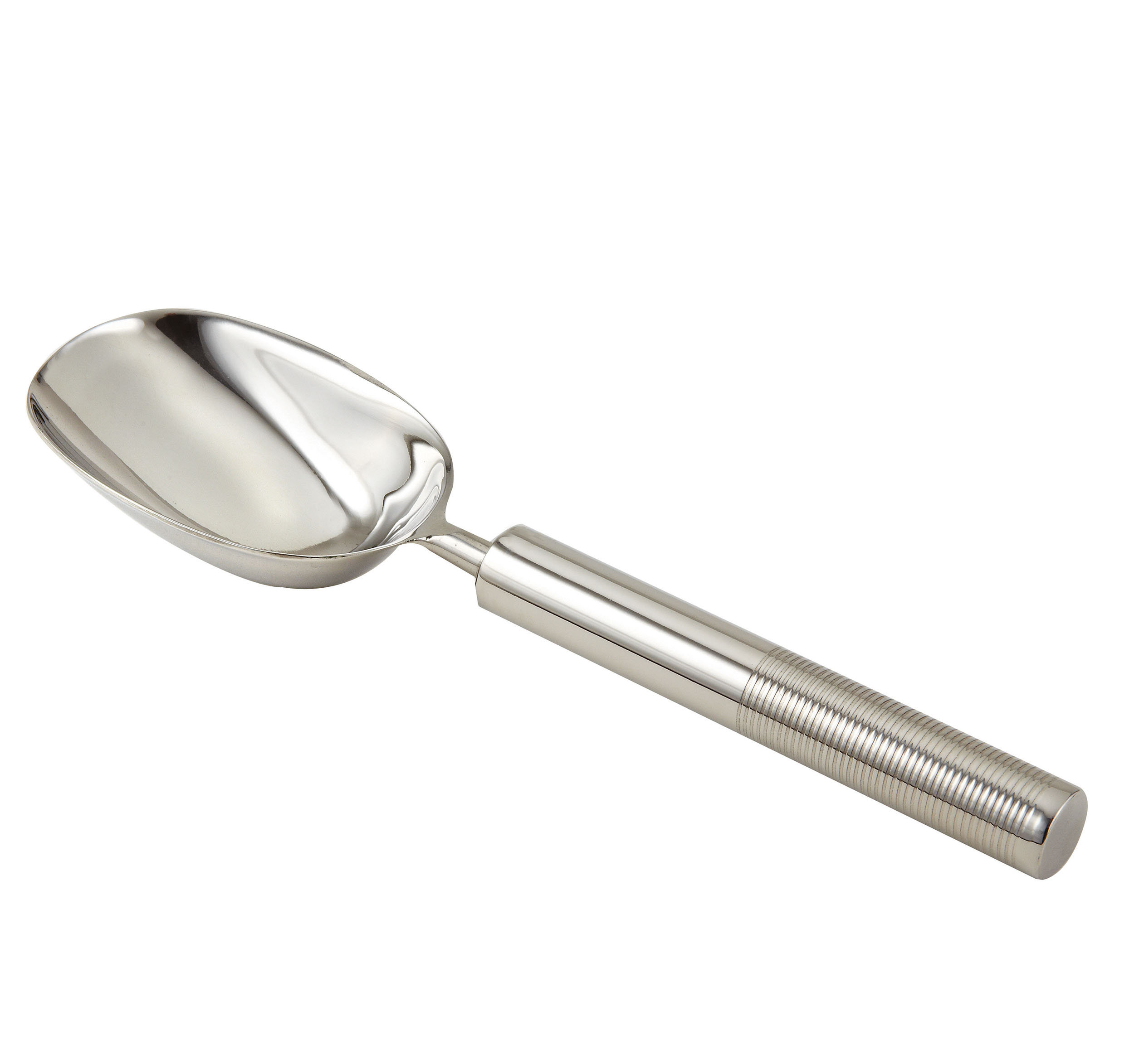 Wrought Studio™ Largo Ice Scoop & Reviews | Wayfair
