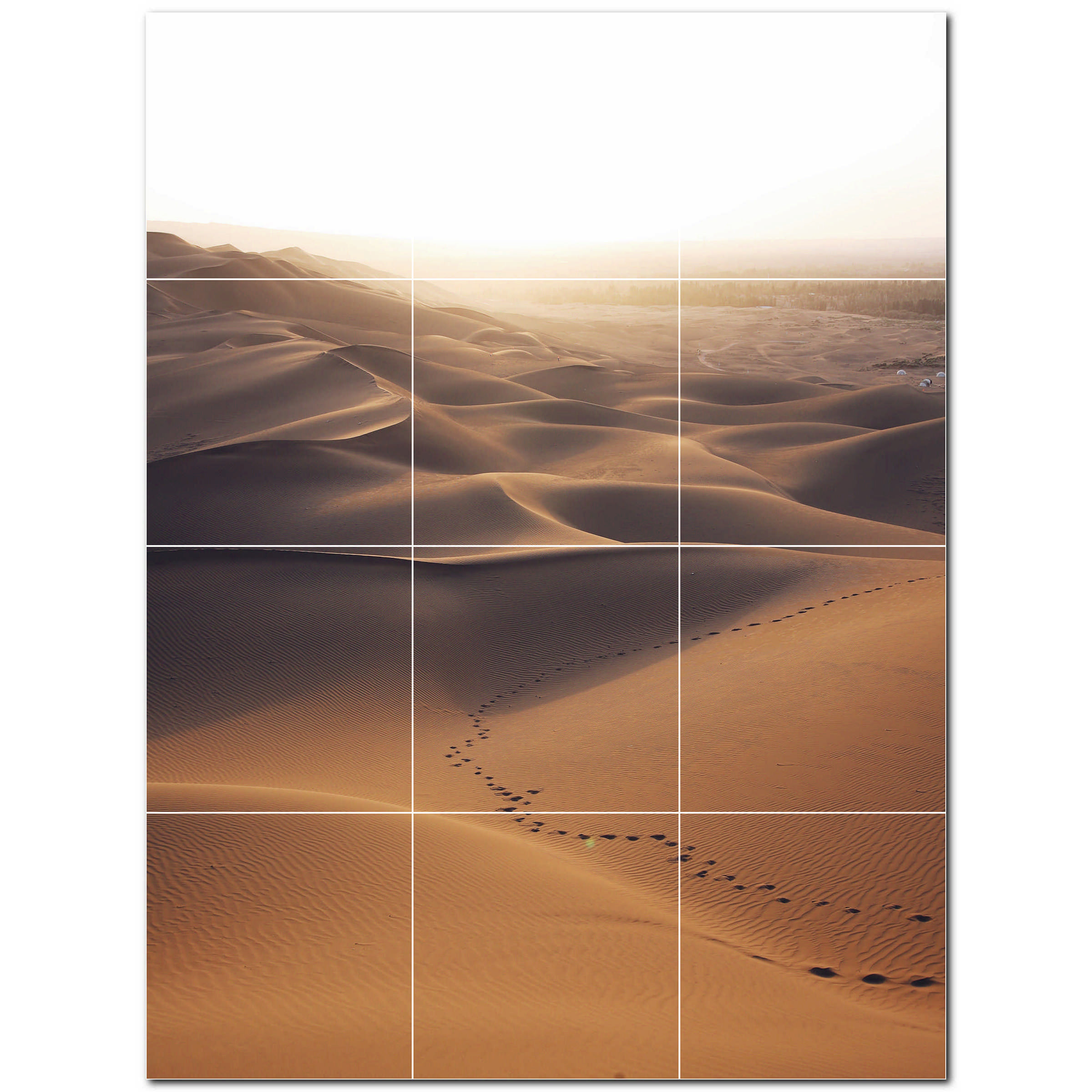 Picture-Tiles.com Desert Photo 6'' x 6'' Satin Ceramic Decorative Mural ...