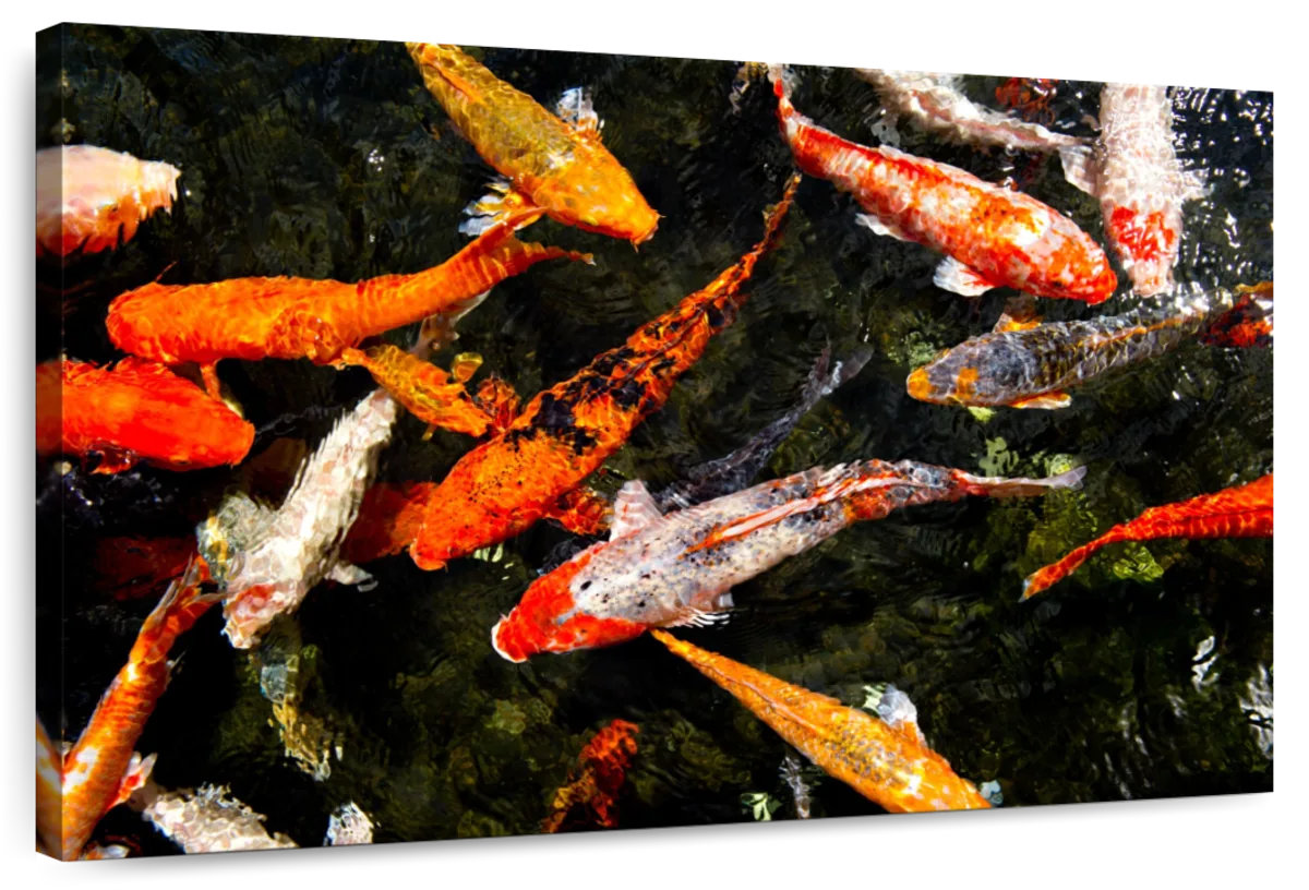Ebern Designs Brampt Lucky Koi Fish Pond | Wayfair