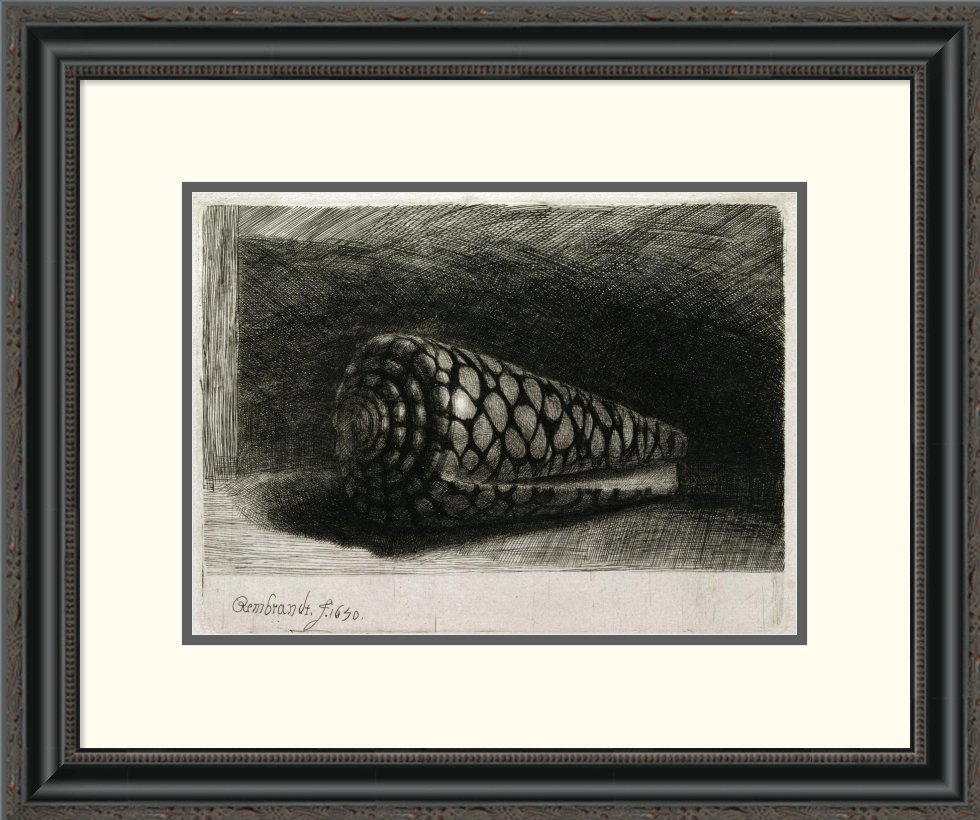 Vault W Artwork The Shell by Rembrandt Van Rijn Framed Painting Print ...