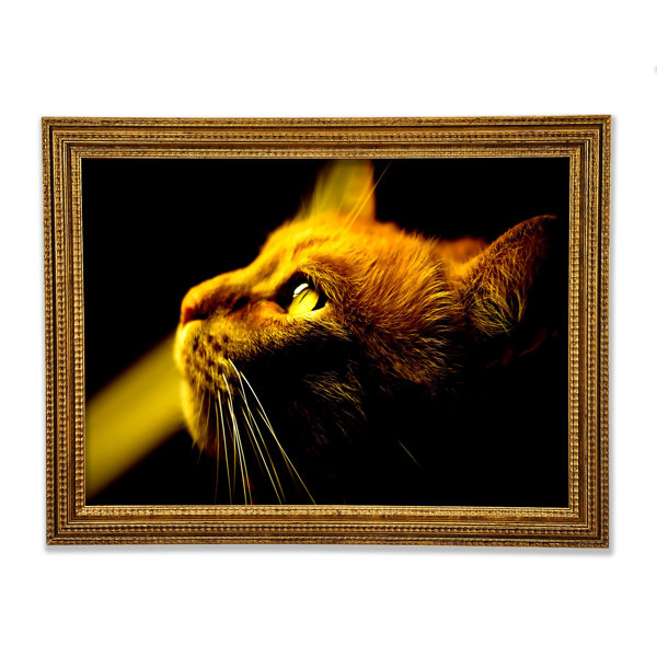 Ebern Designs Red Cat Profile - Single Picture Frame Art Prints ...